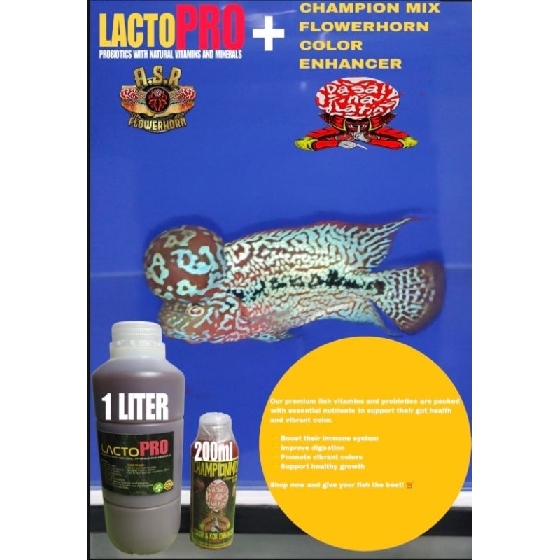Champion Mix Flowerhorn Color Enhancer 250ML + LACTO PRO Probiotics ...