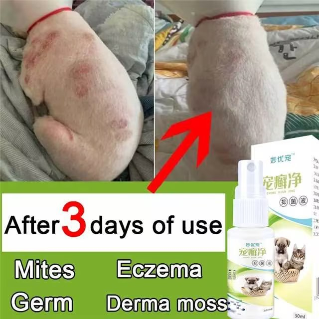 Dog Spray For Skin Disease Gamot Sa Galis Ng Aso Pet Skin Treatment ...