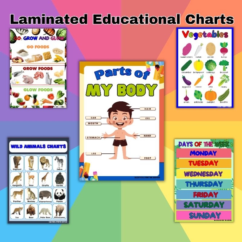 Laminated Educational Charts A4 size v.2 | Shopee Malaysia