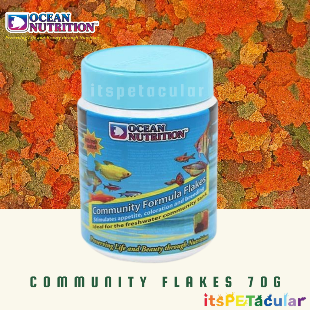 Ocean Nutrition Community Fish Food Flake - 70 grams (Ideal For ...