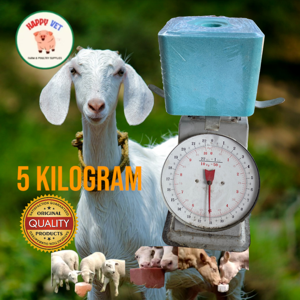 5KG Like Warsan Blue Mineral Block Salt for Livestock Himalayan ...