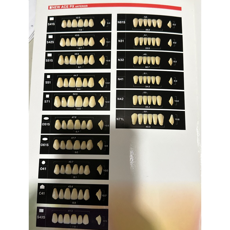 NEW ACE PX composite resin teeth A3 | Shopee Malaysia