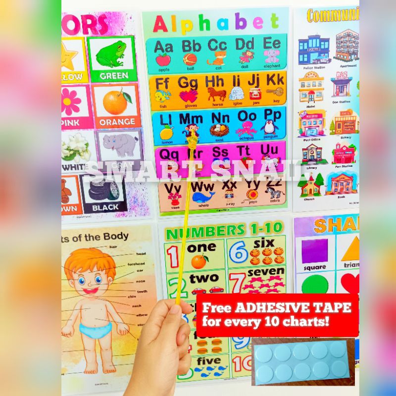 Laminated Educational Wall Charts for Kids | Shopee Malaysia