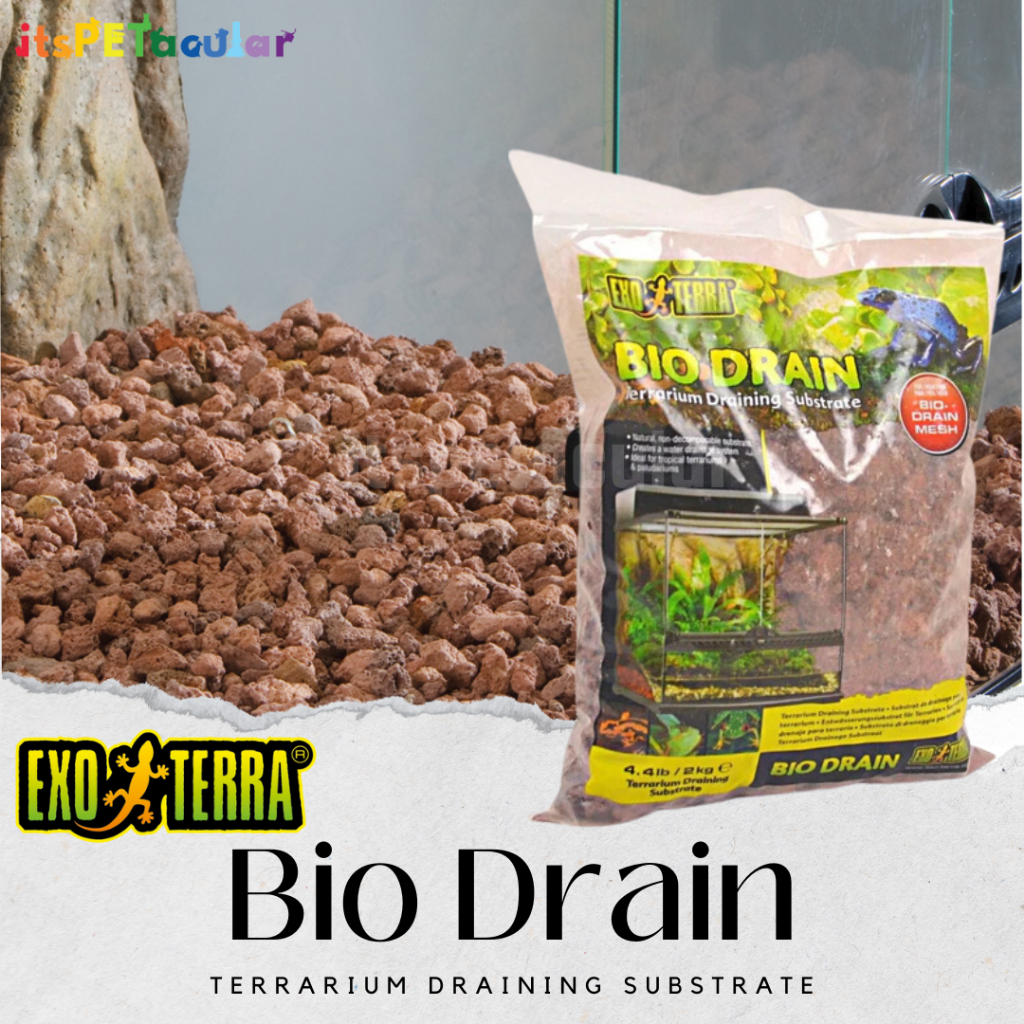 Exo Terra Biodrain 2KG (Terrarium Substrate) | Shopee Malaysia