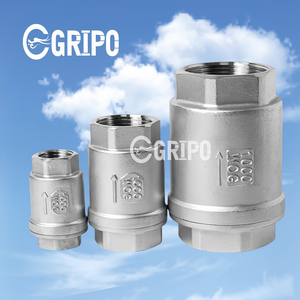 GRIPO High End quality 304 Stainless Spring check valve one way spring ...