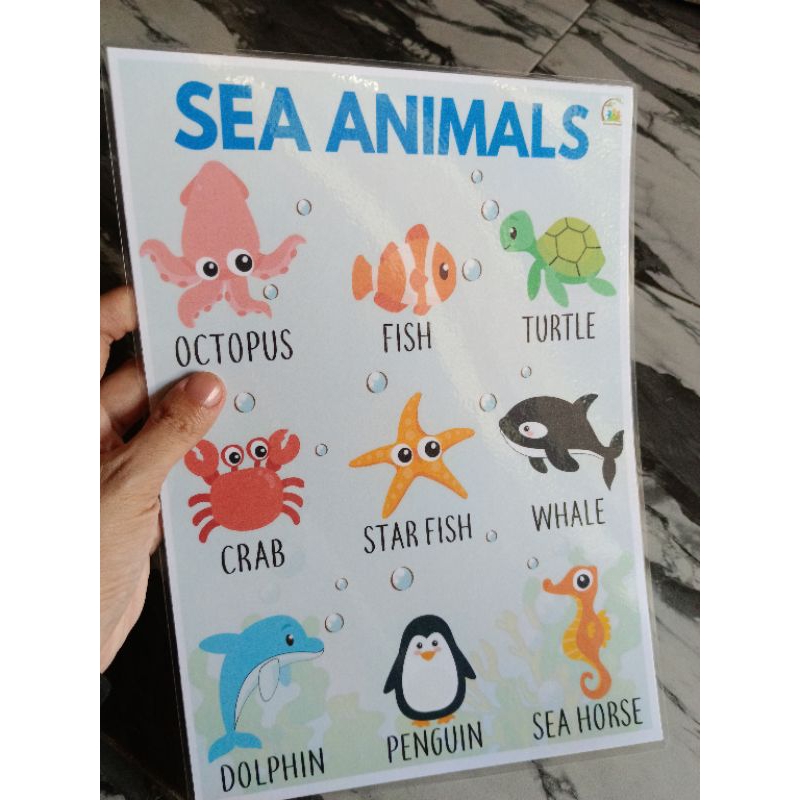 LAMINATED EDUCATIONAL CHARTS A4 size Fruits, Vegetables, Domestic ...