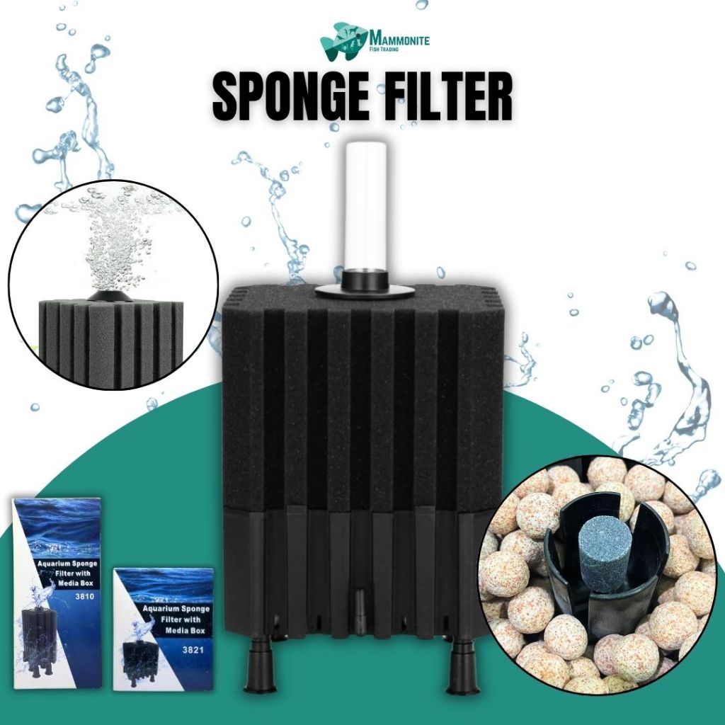 Aquarium Sponge Filter with Media Box Air Stone and Bacteria Balls ...