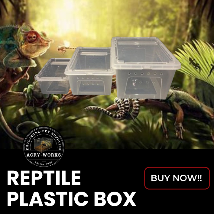 Reptile Box (Plastic Enclosure for exotic pets) | Shopee Malaysia