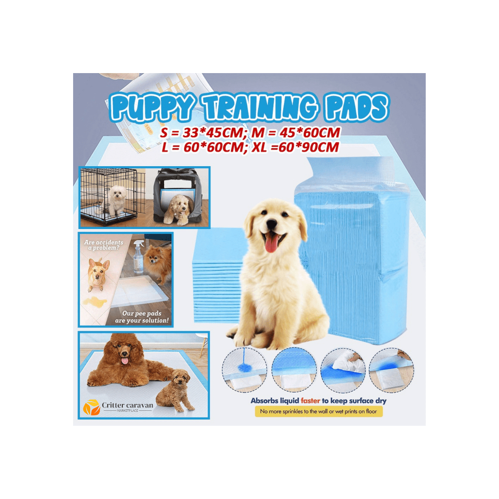 Absorbent Pet Training Potty Pads for dogs-1 Pc Disposable diaper Pee ...
