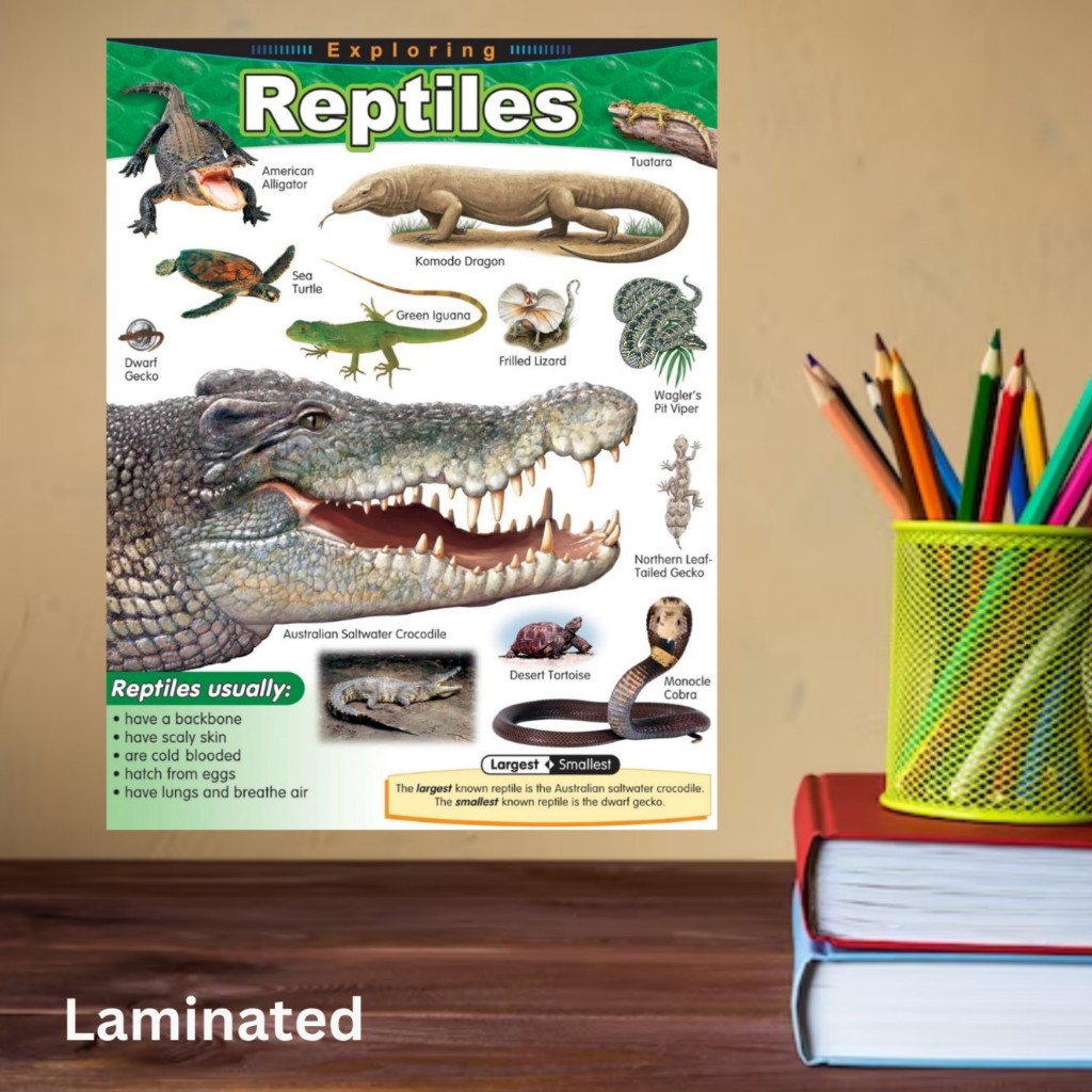 Laminated Mammals, Amphibians, Birds, Fish, Insect, Reptiles Charts for ...