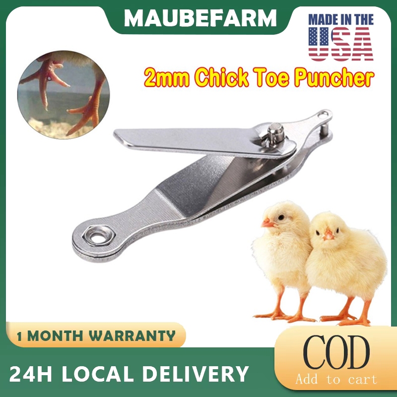 2mm Stainless steel Toe Puncher for Chicks Gamefowl Rooster Puncher ...