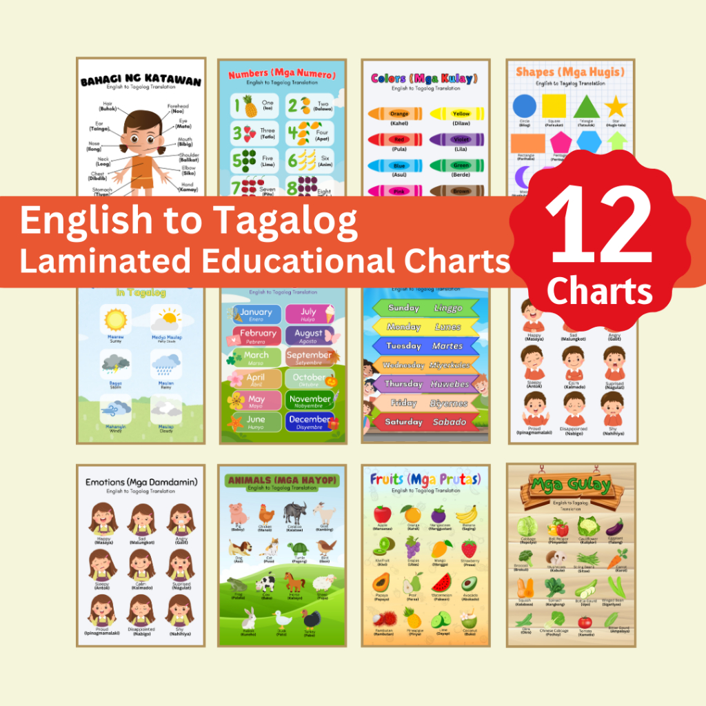 12 Laminated Educational Chart English to Tagalog Translation Words for ...