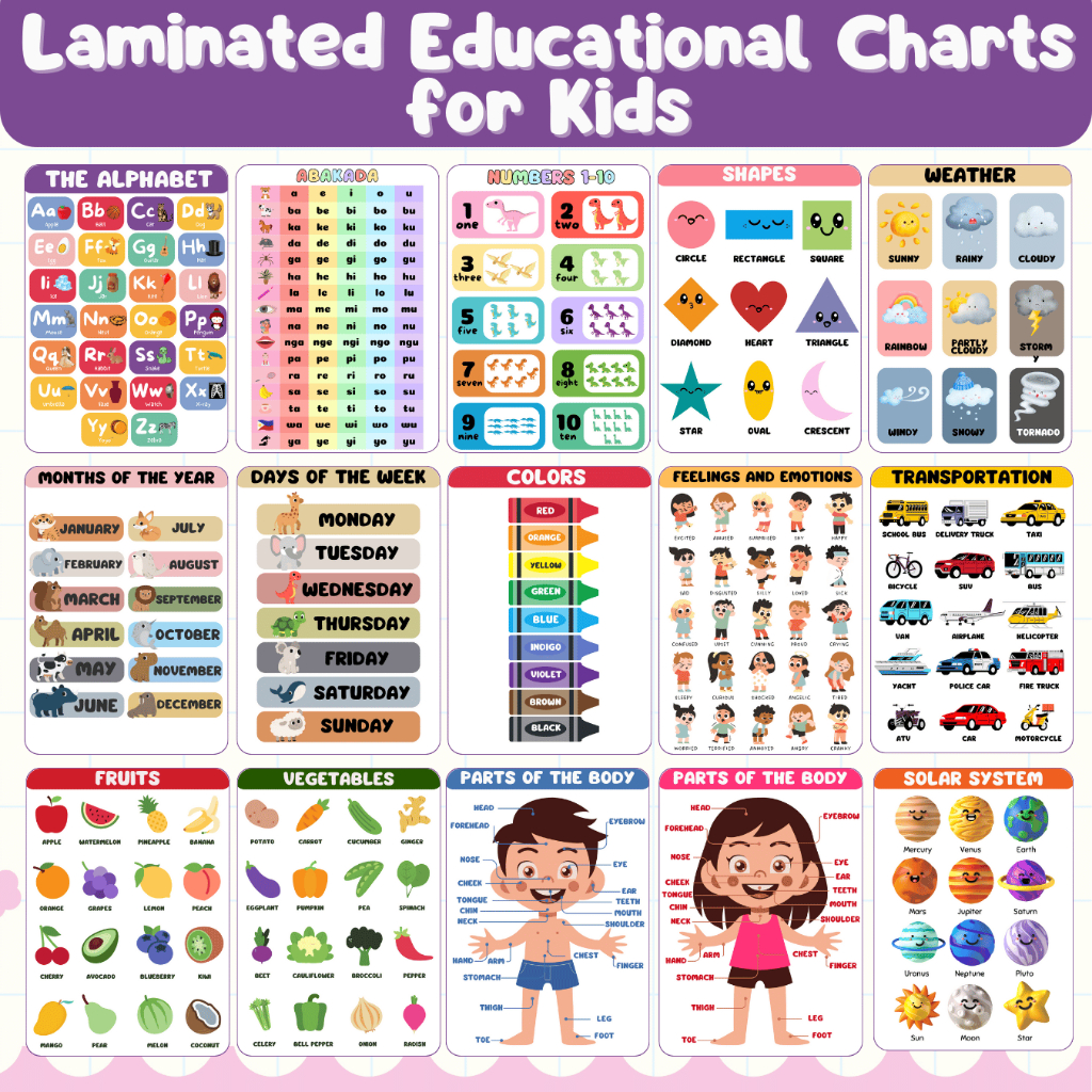 Laminated Educational Learning Wall Charts Posters for Kids and ...