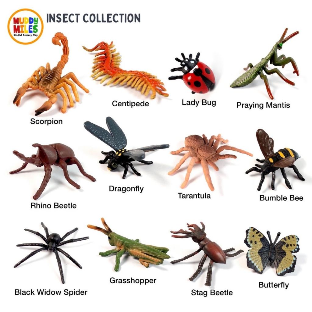 INSECT TOYS - 12 Insects & Spiders for educational play, sensory bin ...