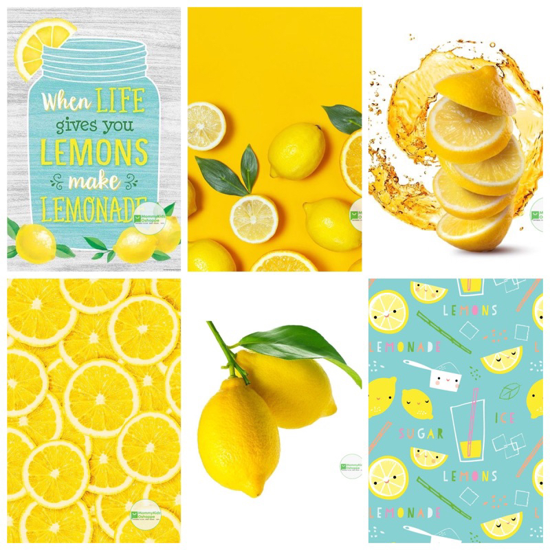 LEMON theme wall decor design A4 SIZE LAMINATED | Shopee Malaysia