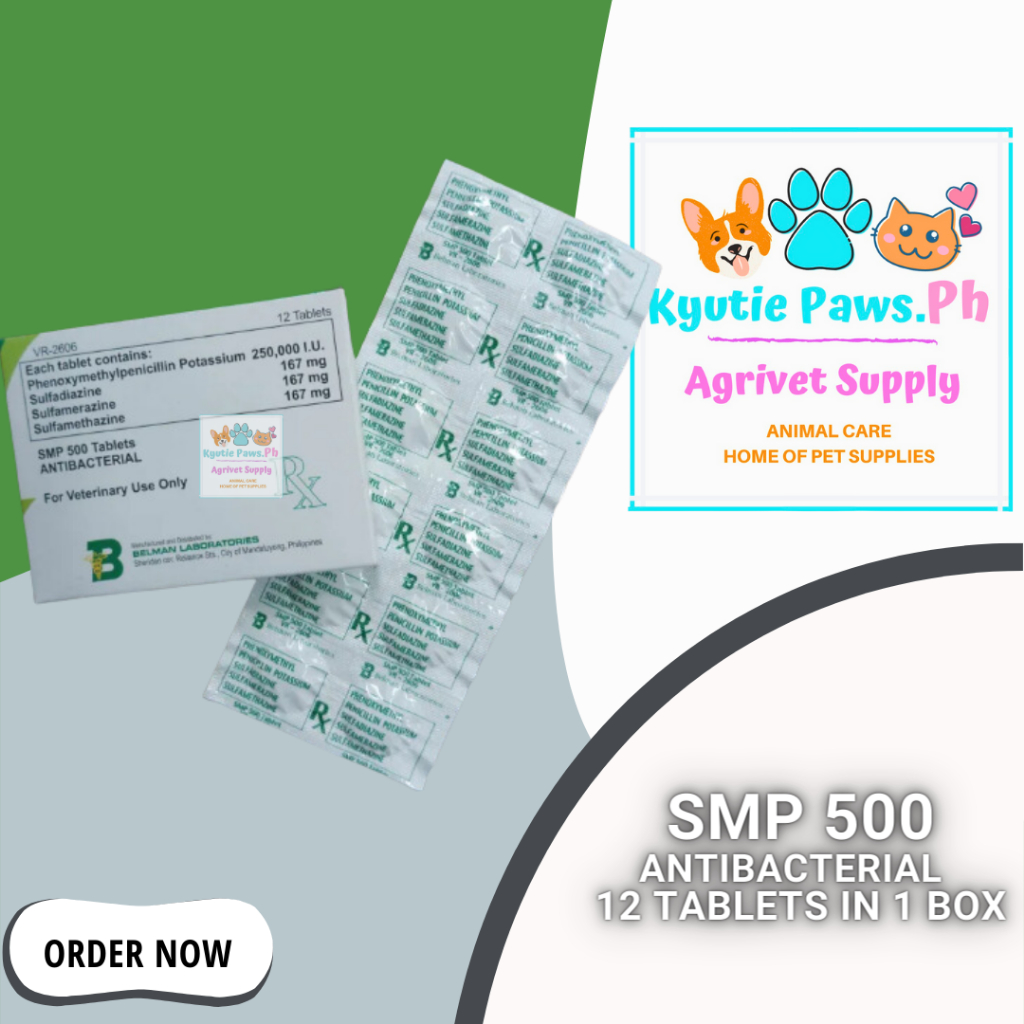 SMP 500 tablets antibacterial 1tablet only | Shopee Malaysia