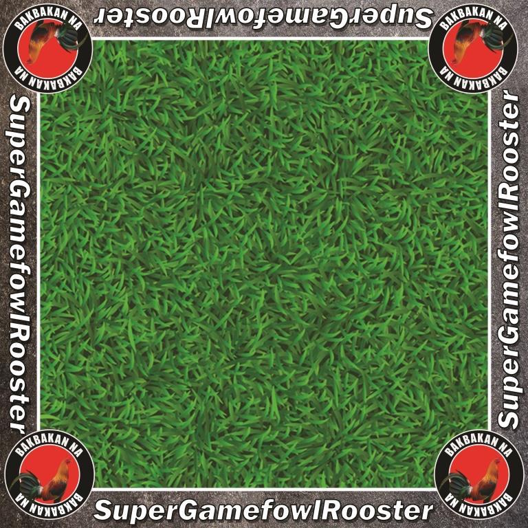 LIMBER MATTING FOR GAMEFOWL ROOSTER (4FTX4FT) | Shopee Malaysia