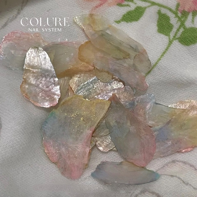 Colure Nail System Mermaid Abalone Sea Shell Flakes | Shopee Malaysia