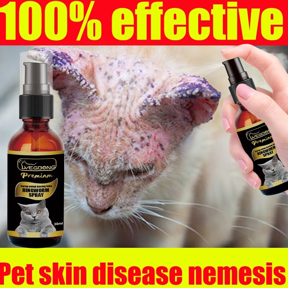 Pet Skin Treatment For Cats Pet Anti Fungal Spray Cat Skin Disease ...