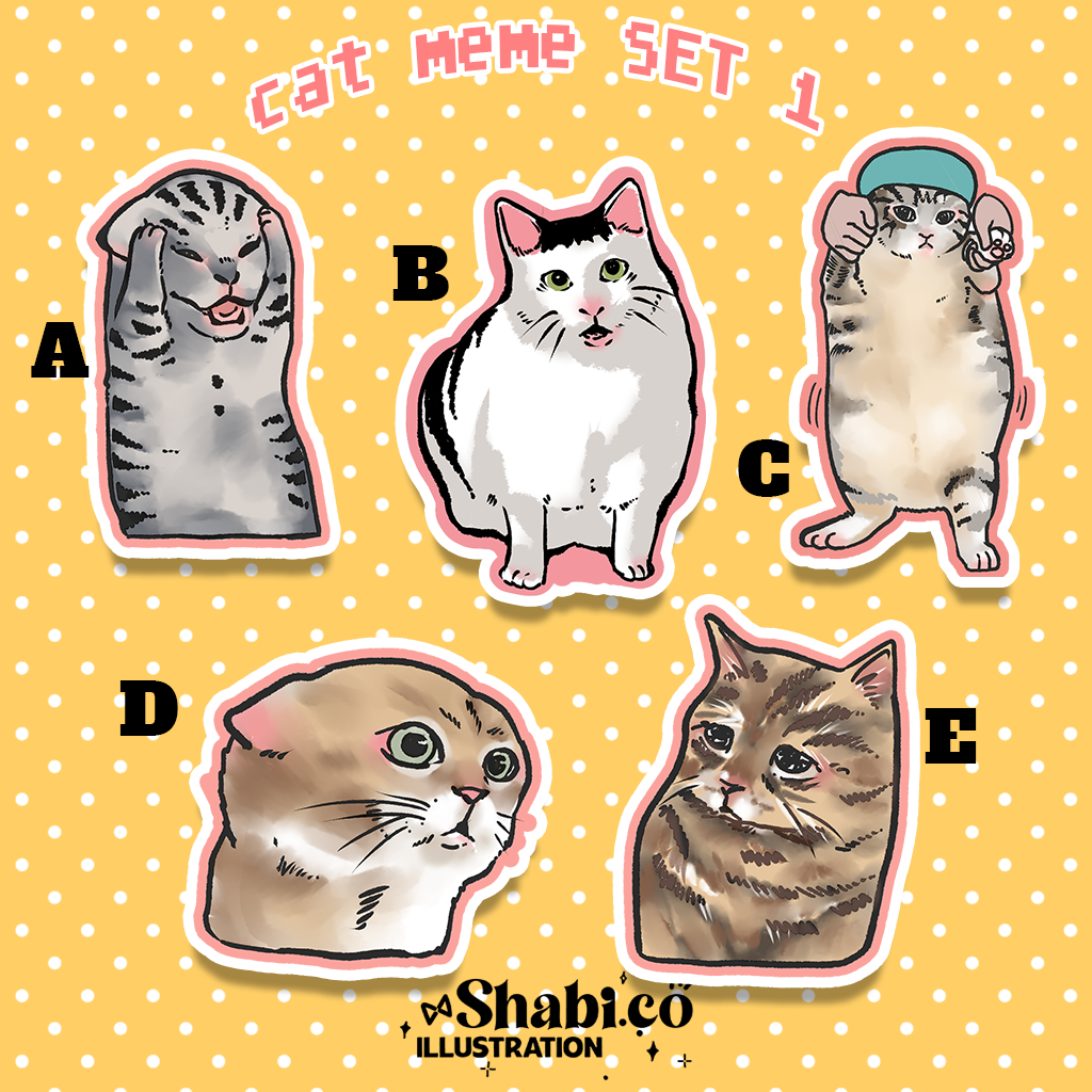 Cat Memes Sticker Set SET and Individual Sticker Vinyl Laminated PART 2 ...