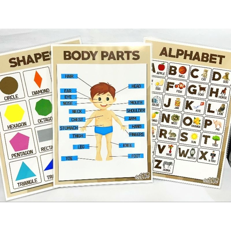 EDUCATIONAL CHART FOR KIDS LEARNING MATERIALS | Shopee Malaysia