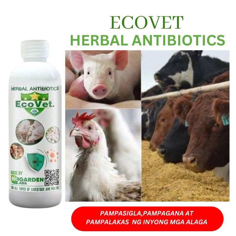 EcoVet Herbal Antibiotics & Probiotic Powder for Dogs,Cats,Chickens ...