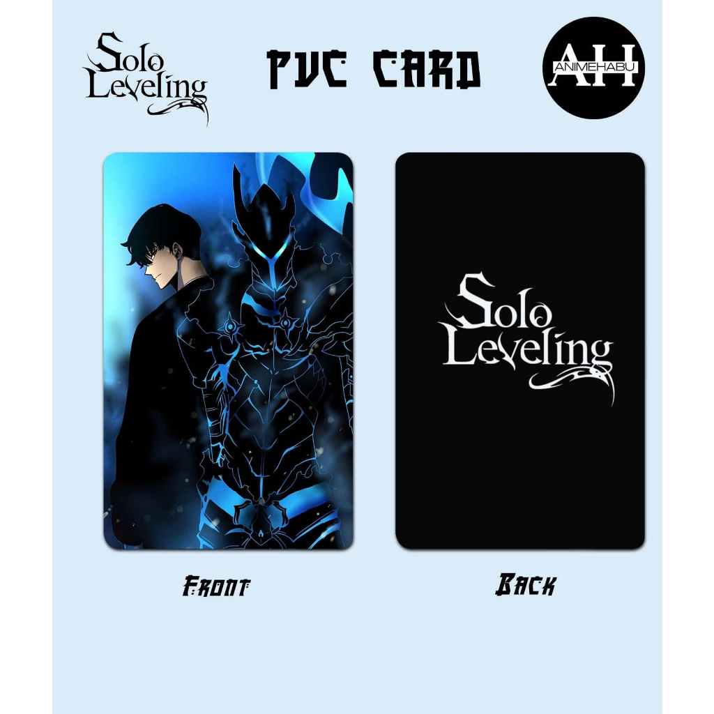 Solo Leveling Sung Jin woo Anime PVC Card Photocard Thick | Shopee Malaysia