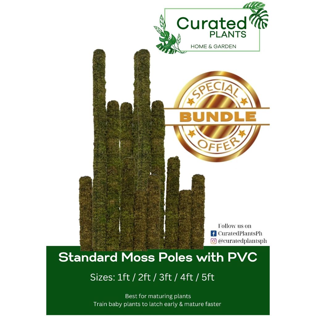 10 PIECE LENGTH: 3 FEET LONG/36 INCHES Sphagnum Moss Poles with PVC ...