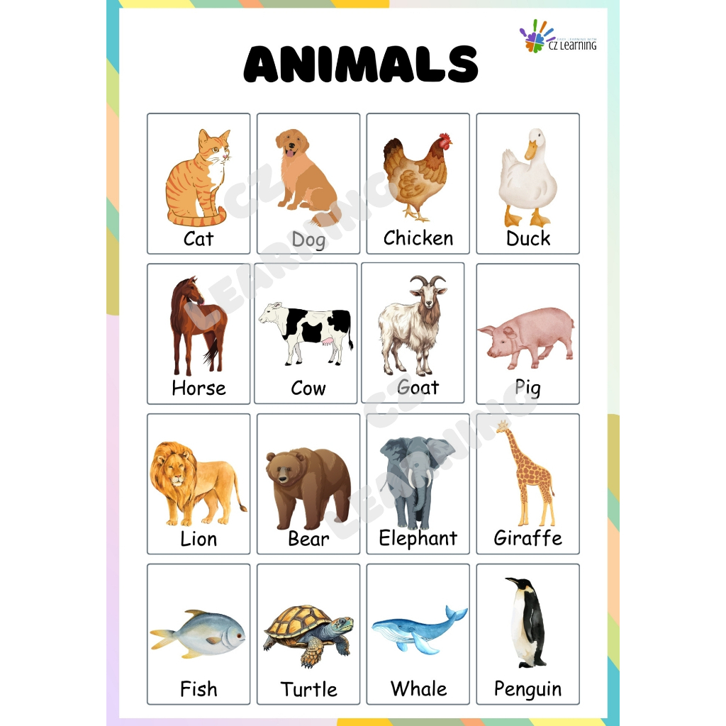 Animals Chart Laminated Educational Wall Chart for kids - Size A4 ...