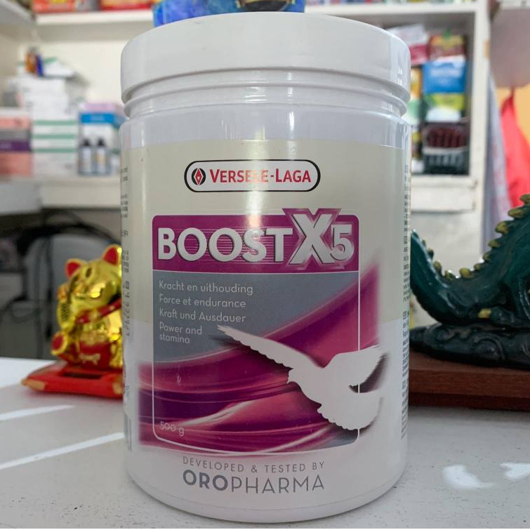 Boost X5 Powder Repacked in 50 grams / 100 grams | Shopee Malaysia