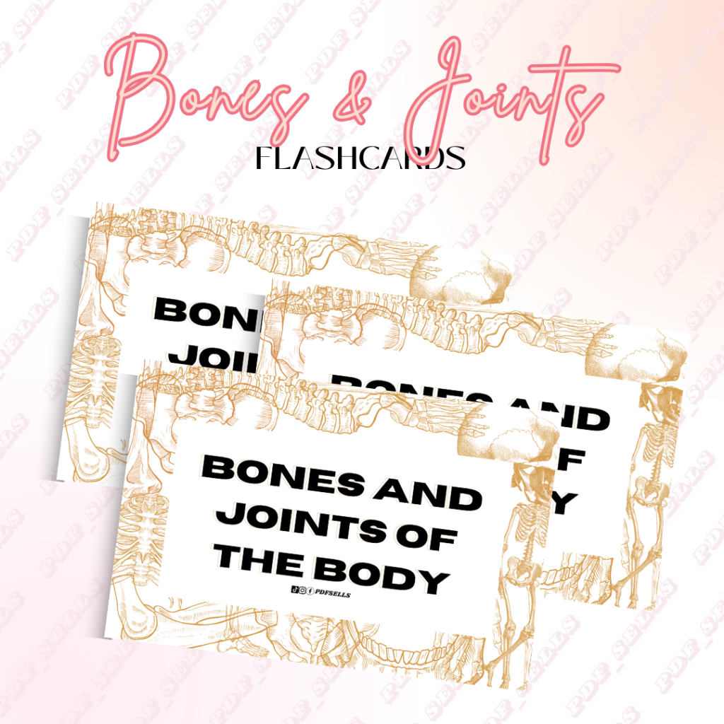 Skeletal system -bones and joints flashcards | Shopee Malaysia