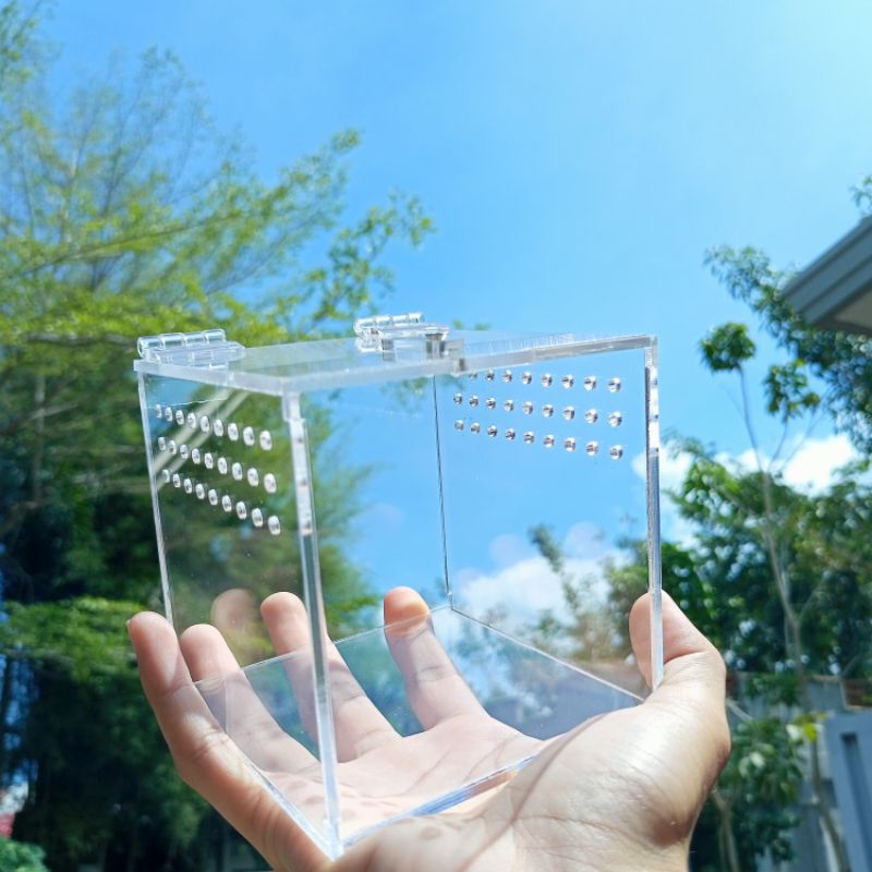 4x4x4 inches Clear Acrylic Enclosure for Tarantulas and pets 3 line ...
