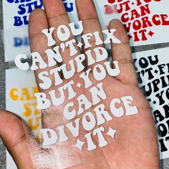 You Can't Fix St*pid But You Can Divorce It Decal Waterproof Stickers ...