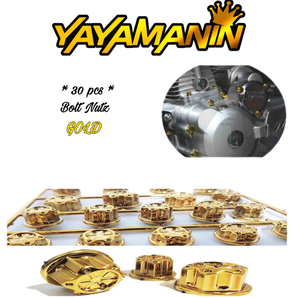 SYM Husky 150 - Thai Motorcycle Body Parts 30pcs Bolt Cap Engine Cover ...