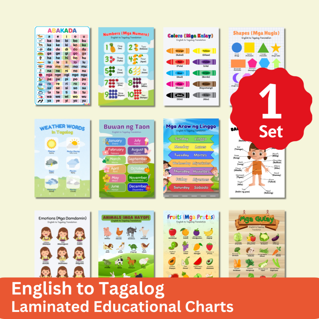 12 Laminated Educational Chart English to Tagalog Translation Words for ...