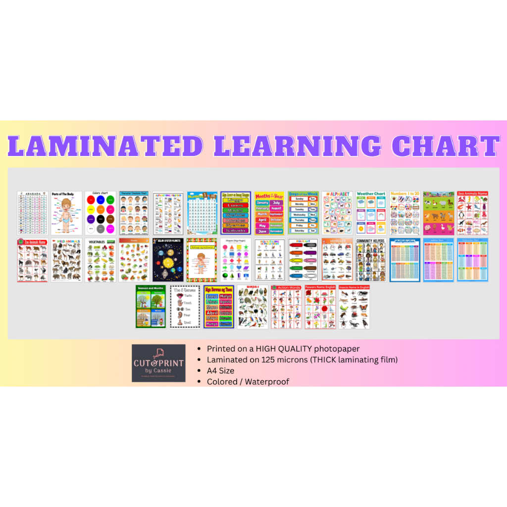 Laminated Educational Chart for Kids A4 Size | Shopee Malaysia