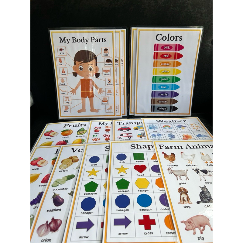 Laminated Educational Charts | Shopee Malaysia