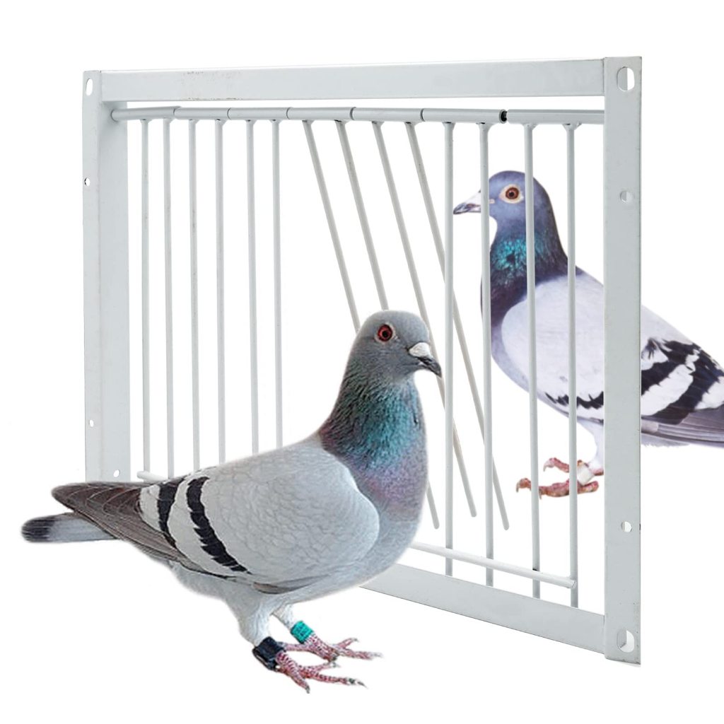 T trap door pigeon cage loft for pigeon breeding Kulungan ng kalapati ...