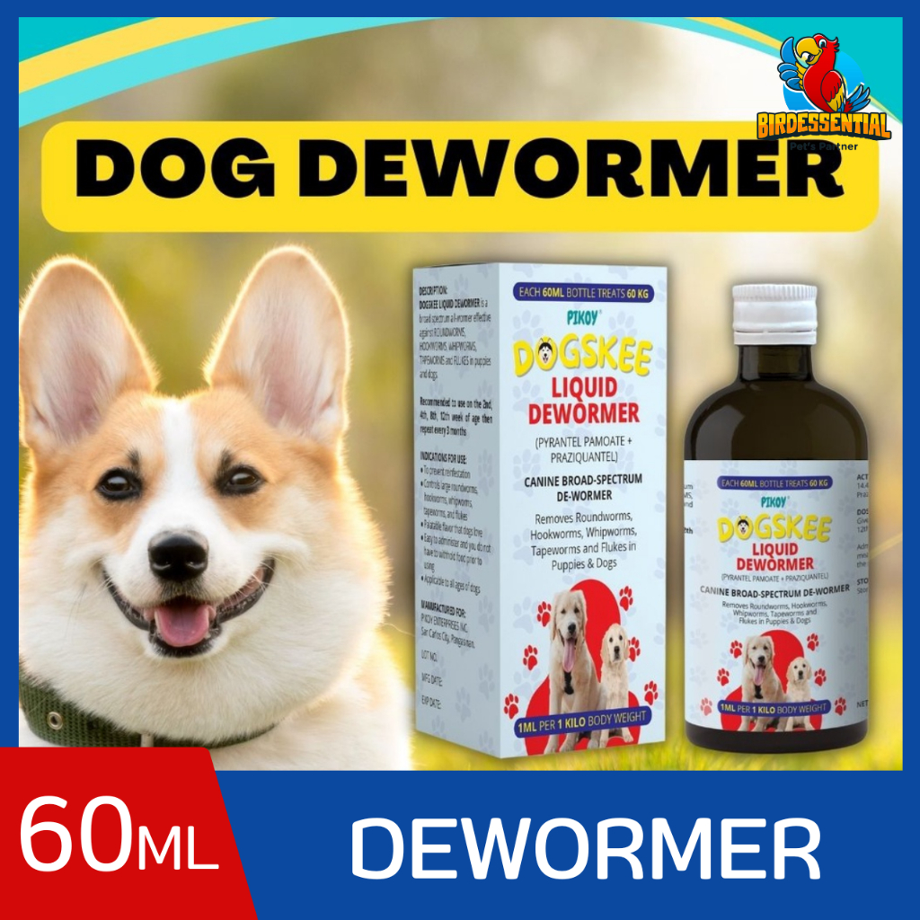 PIKOY DOGSKEE DOG DEWORMER SYRUP (60ML) for Dogs & Puppy PAMURGA All-In ...