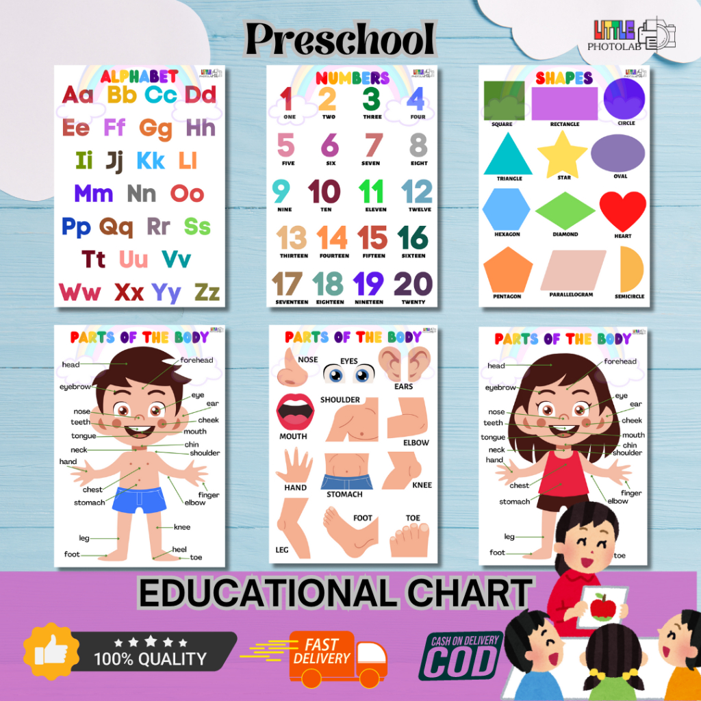 PRESCHOOL Learning Materials Educational Chart Parts of the Body ...