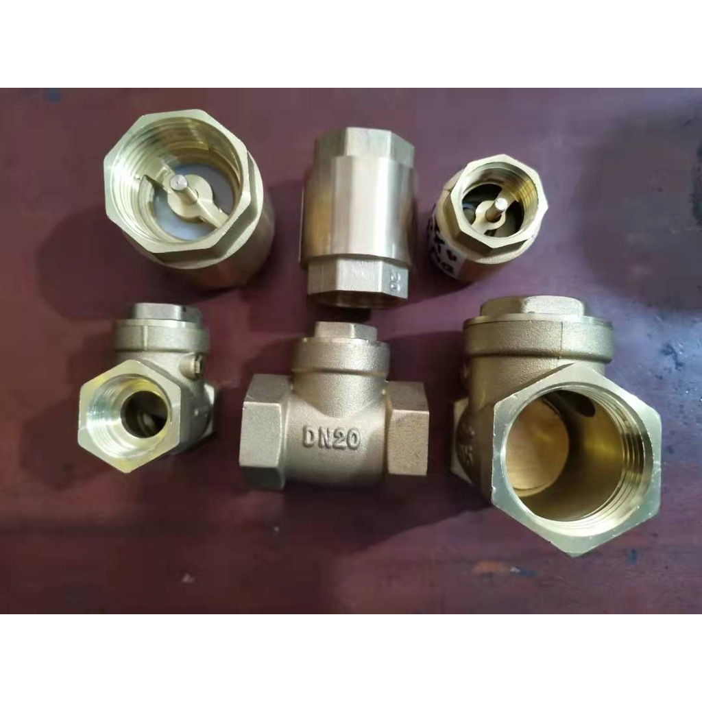 Brass Copper Swing valve ,check valve Thread Spring Vertical Pump ...