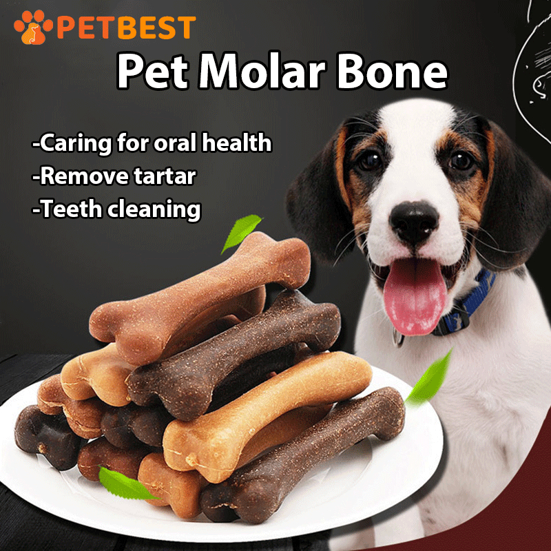 PETBEST Dog Chews Toys Molar Healthy Teeth Chewing Cowhide Bones Dog ...