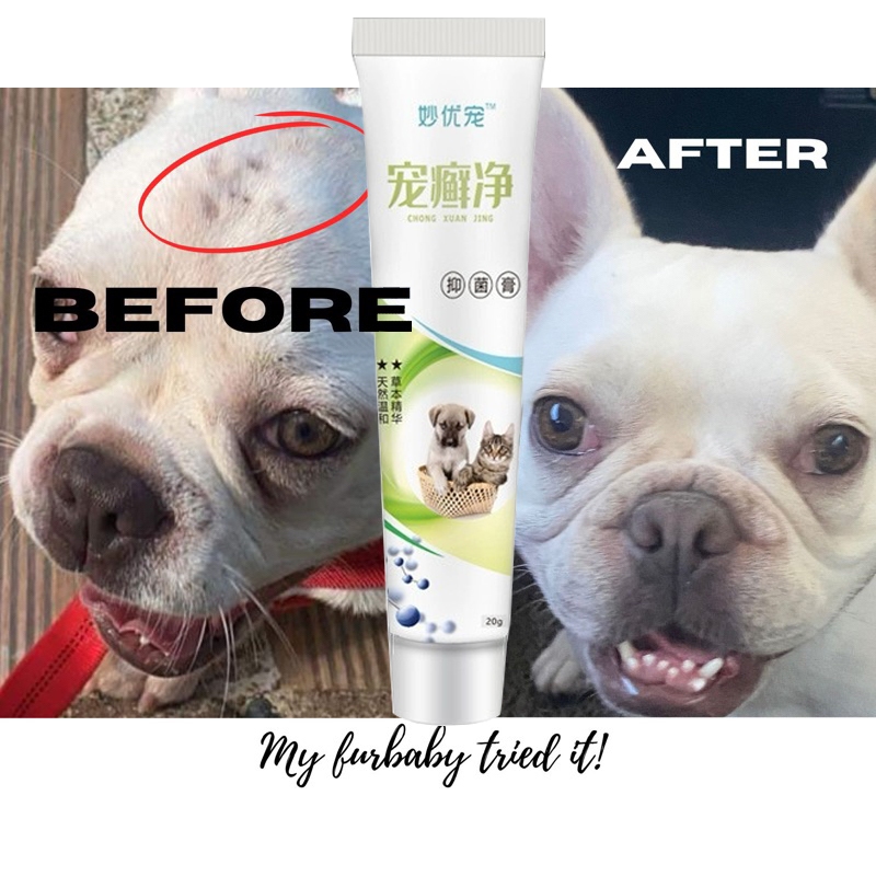 Dog Ointment For Skin Disease Ringworm Ointment For Cat Dog Anti Fungal ...