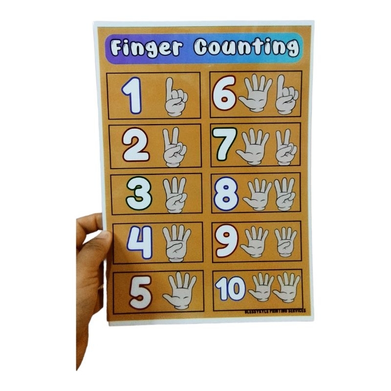 Laminated Finger Counting Chart A4 size | Shopee Malaysia
