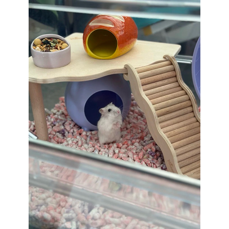 OIC Wide & Fun House for Dwarf Hamsters Hidey French bread/Panda (Small ...