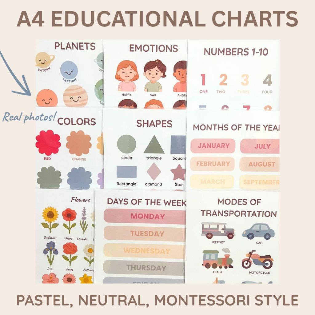 A4 Laminated Poster Montessori Educational Kids Chart High Quality ...