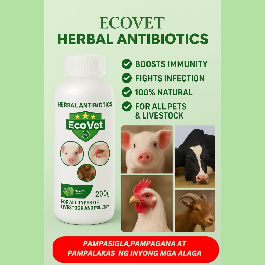 EcoVet Herbal Antibiotics & Probiotic Powder for Dogs,Cats,Chickens ...