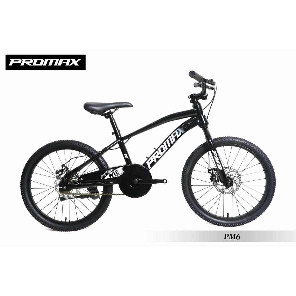 NEW PROMAX PM 6 MINI MTB SIZE 20 ALLOY FRAME INTERNAL CABLING | Shopee ...