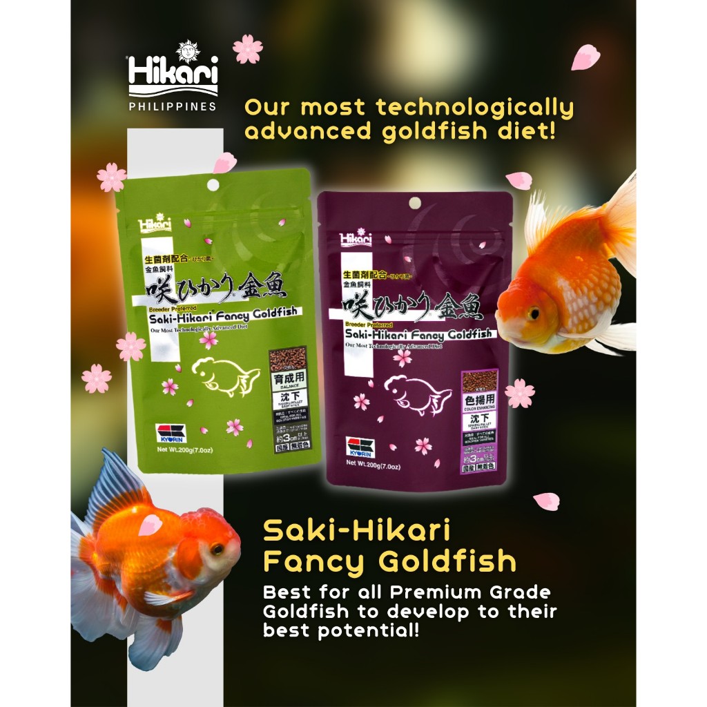 Saki-Hikari Premium Fancy Goldfish Color Enhancing Sinking Pellet Baby ...