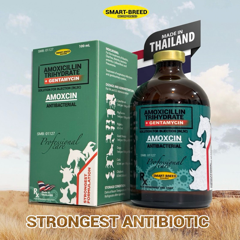 Amoxin Anti Diarrhea and Pneumonia 100ML 2027 Expiry | Shopee Malaysia